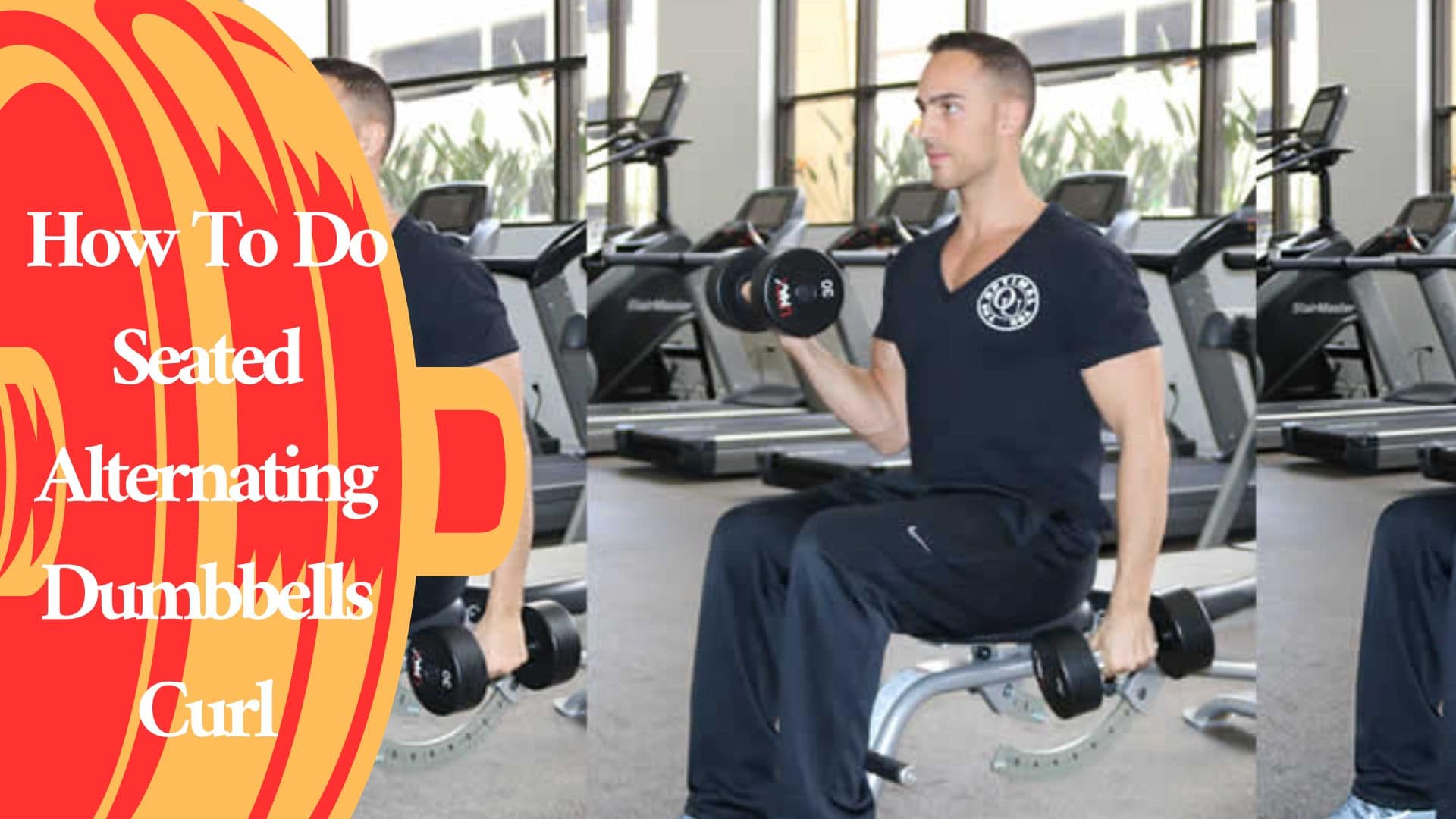 How To Do Seated Alternating Dumbbells Curl In 2023